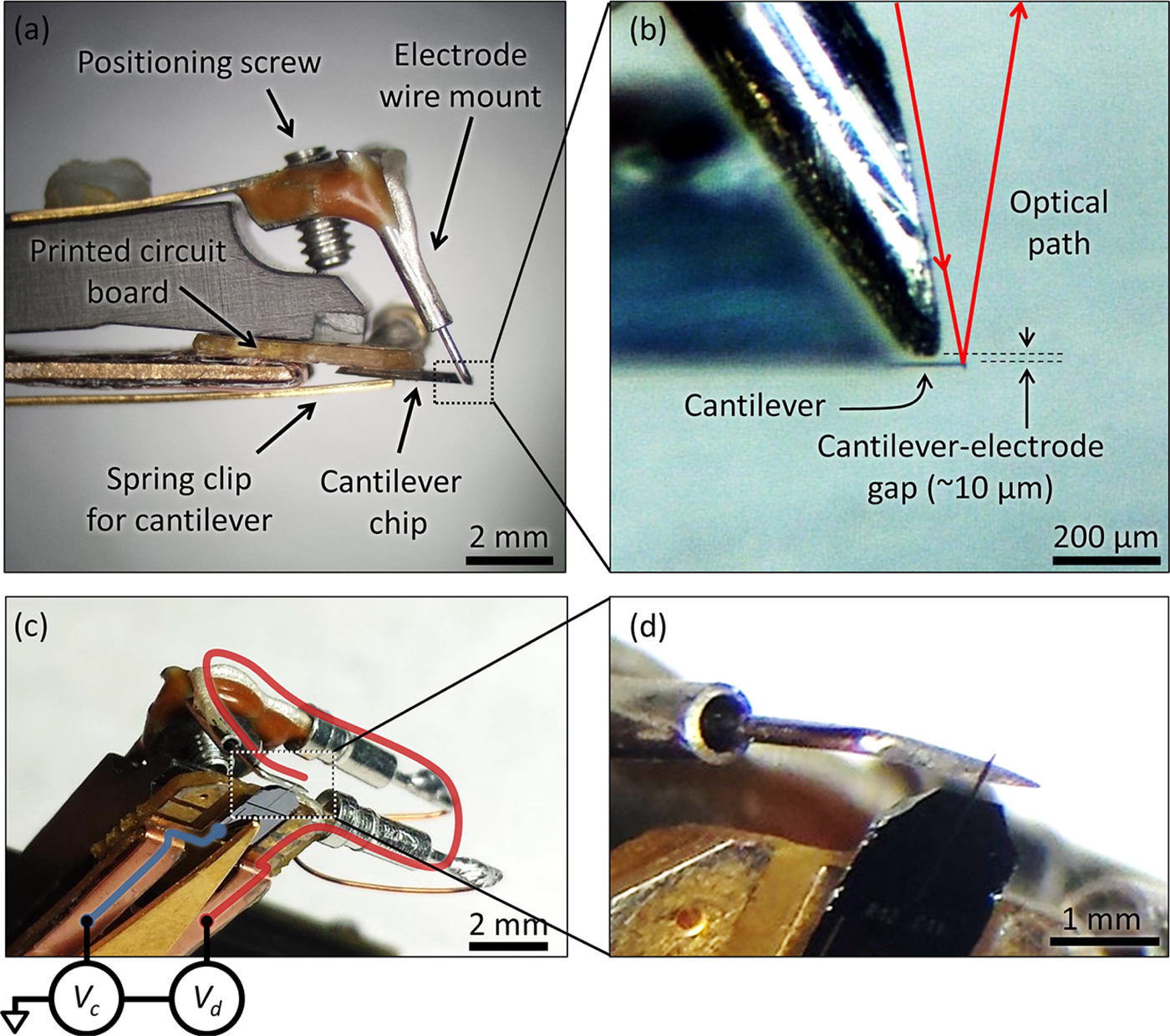 Modular apparatus for electrostatic actuation of common atomic force ...