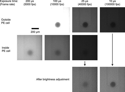 X-ray imaging for studying behavior of liquids at high pressures and ...