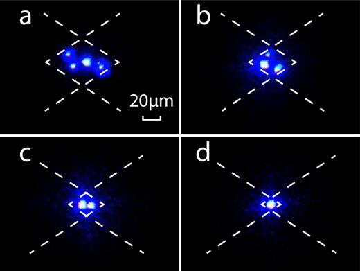 Optical configurations for photophoretic trap of single particles in ...