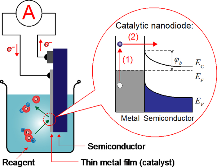Liquid-phase catalytic reactor combined with measurement of hot ...