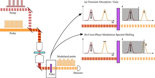Invited Review Article: Pump-probe microscopy | Review of Scientific ...