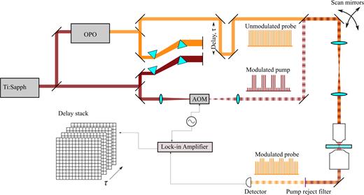 Invited Review Article: Pump-probe microscopy | Review of Scientific ...