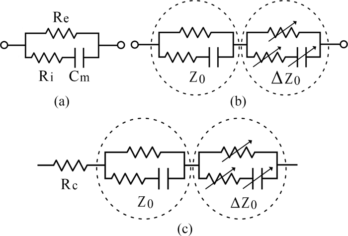 Pulse wave detection method based on the bio-impedance of the wrist ...