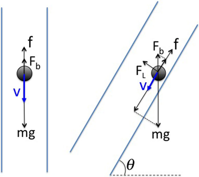 Measurements of fluid viscosity using a miniature ball drop device ...