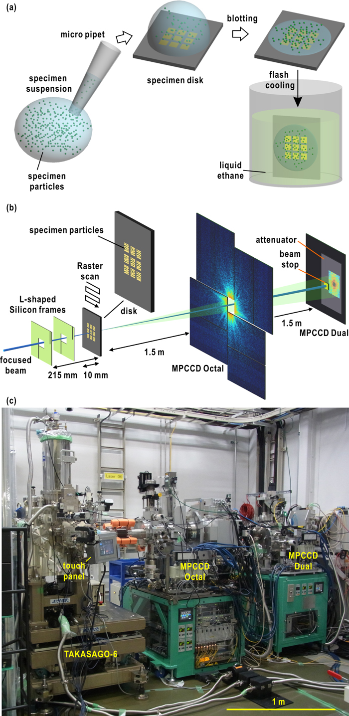 TAKASAGO-6 apparatus for cryogenic coherent X-ray diffraction imaging ...