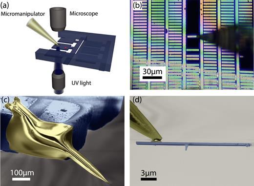 Fabrication of all diamond scanning probes for nanoscale magnetometry ...
