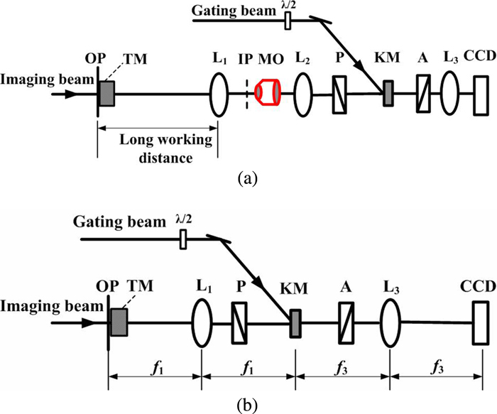 Long-working-distance microscopic imaging in a turbid medium by use of ...