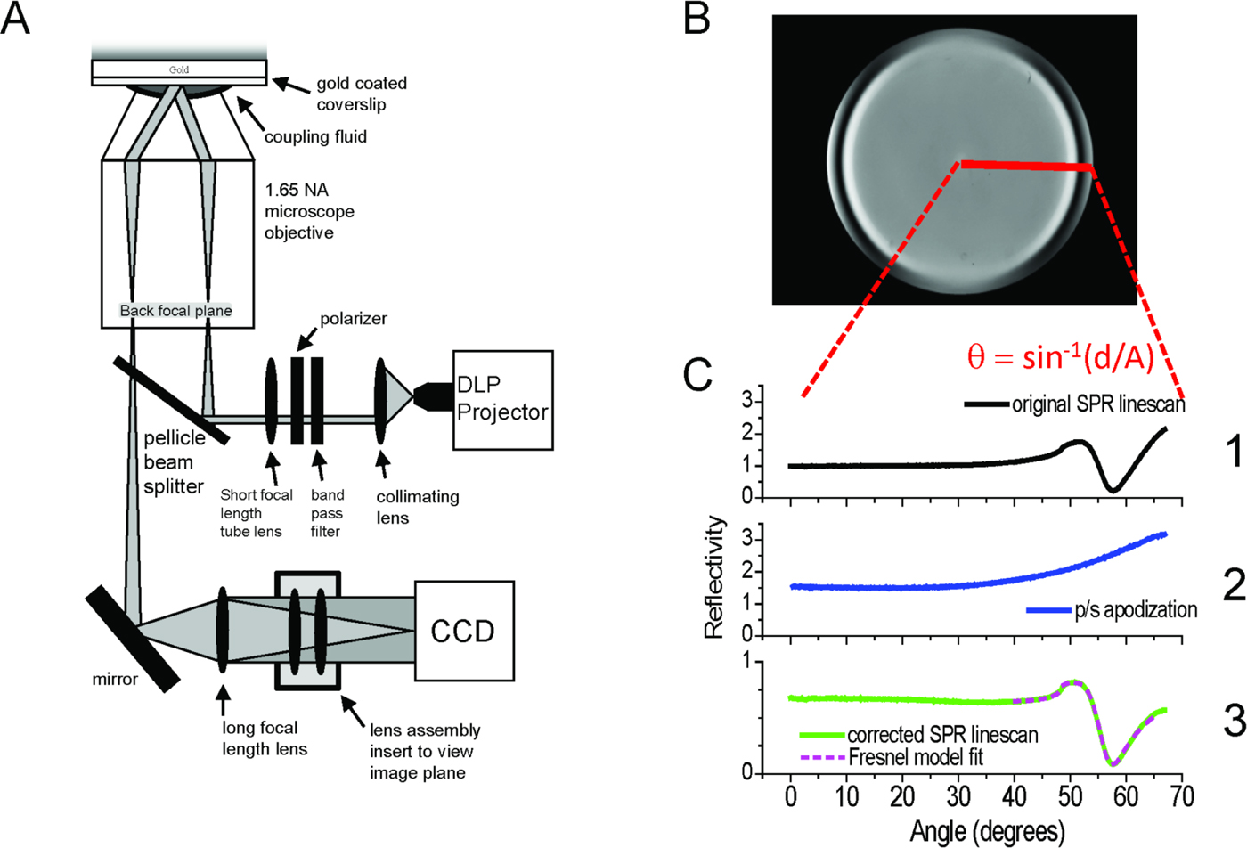 Surface Plasmon Resonance Microscopy Achieving A Quantitative Optical