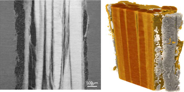4D x-ray phase contrast tomography for repeatable motion of biological ...