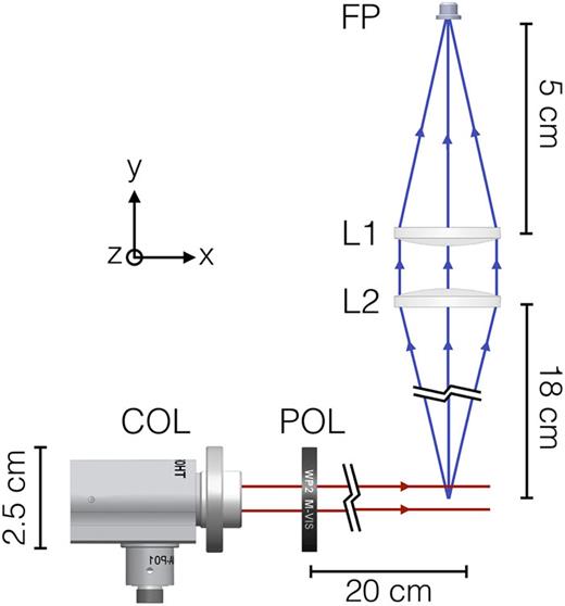 Confocal laser induced fluorescence with comparable spatial localization to the conventional ...