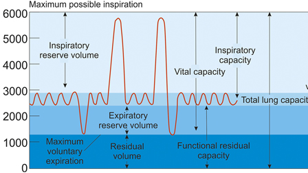 Air sampling unit for breath analyzers | Review of Scientific Instruments | AIP Publishing