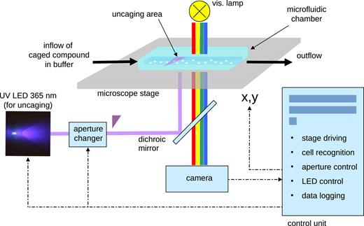 Adaptive microfluidic gradient generator for quantitative chemotaxis ...
