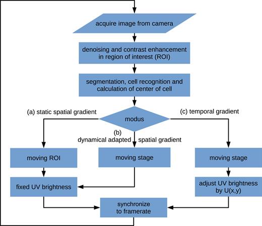 Adaptive microfluidic gradient generator for quantitative chemotaxis ...