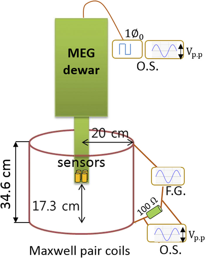 Development of a bio-magnetic measurement system and sensor ...
