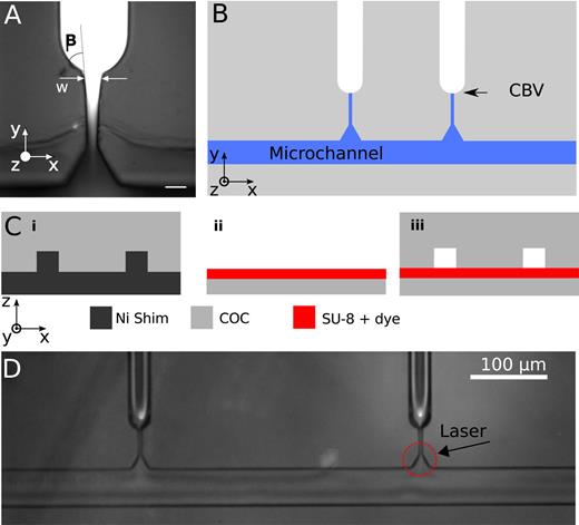 Optothermally actuated capillary burst valve | Review of Scientific ...