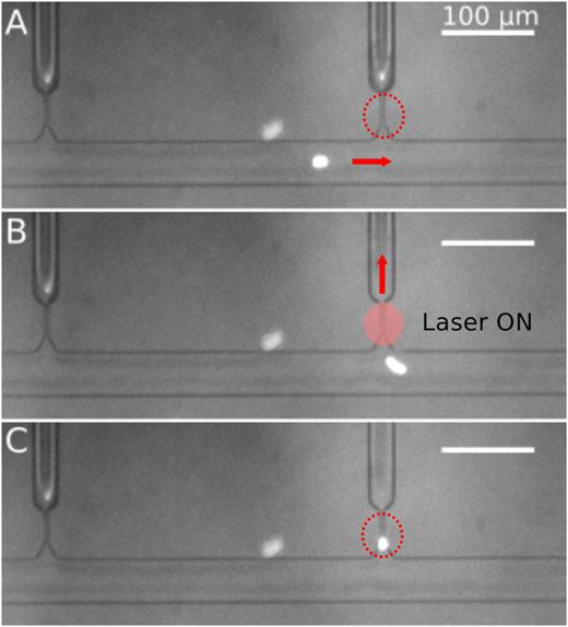 Optothermally actuated capillary burst valve | Review of Scientific ...