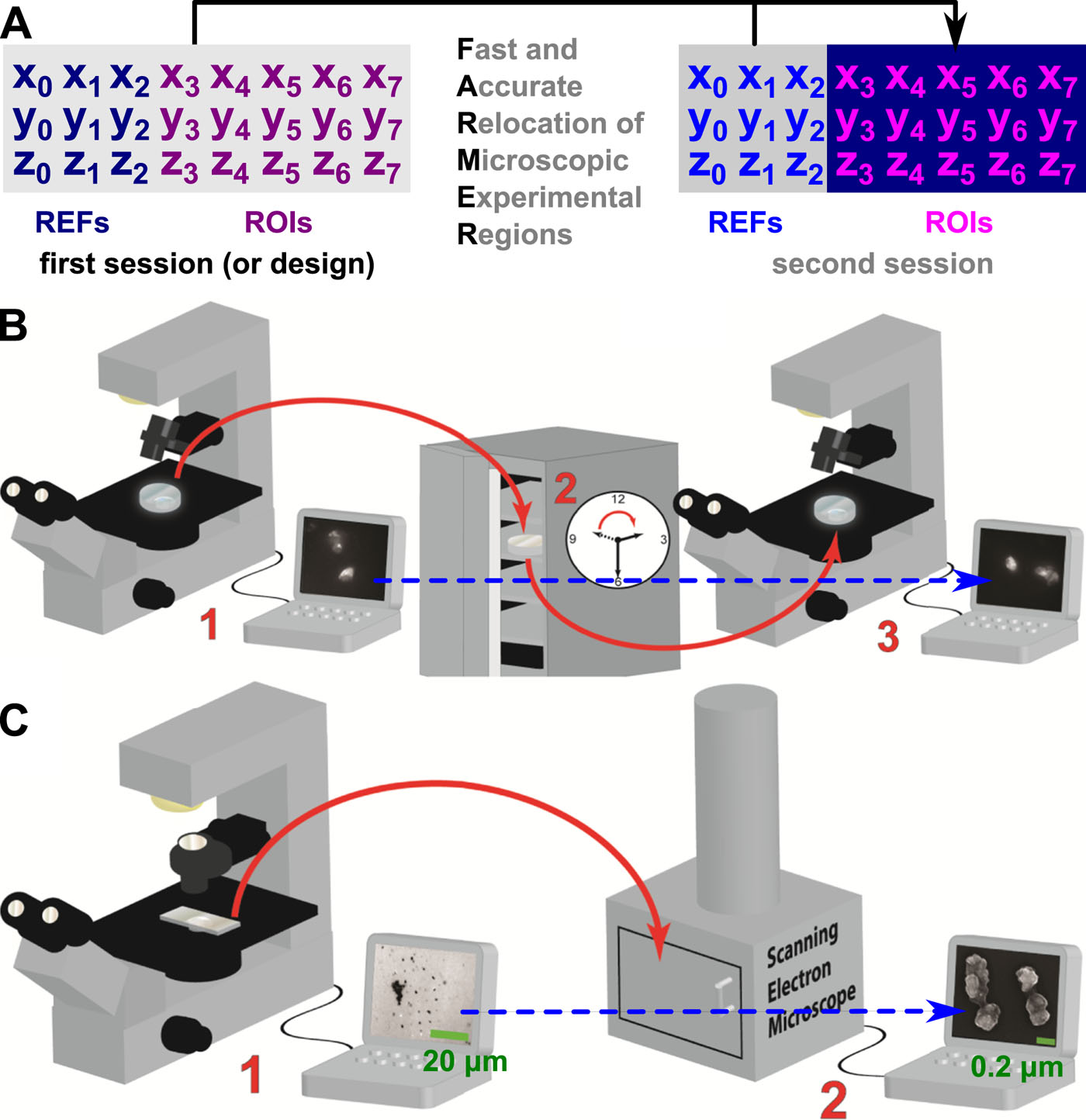 Correlative imaging across microscopy platforms using the fast and ...