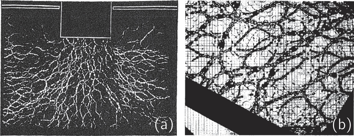 Photoelastic force measurements in granular materials | Review of ...
