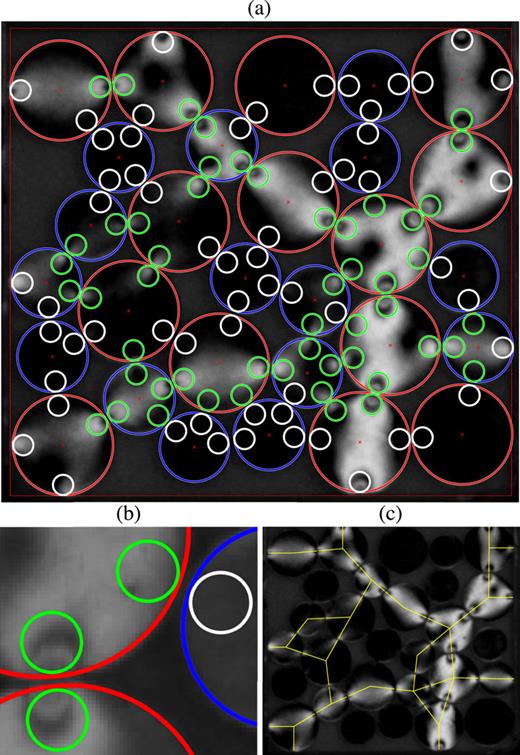 Photoelastic force measurements in granular materials | Review of ...