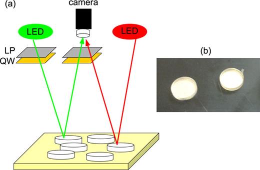 Photoelastic force measurements in granular materials | Review of ...