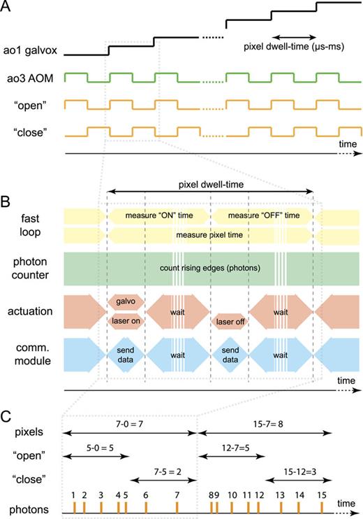 Removal of anti-Stokes emission background in STED microscopy by FPGA ...