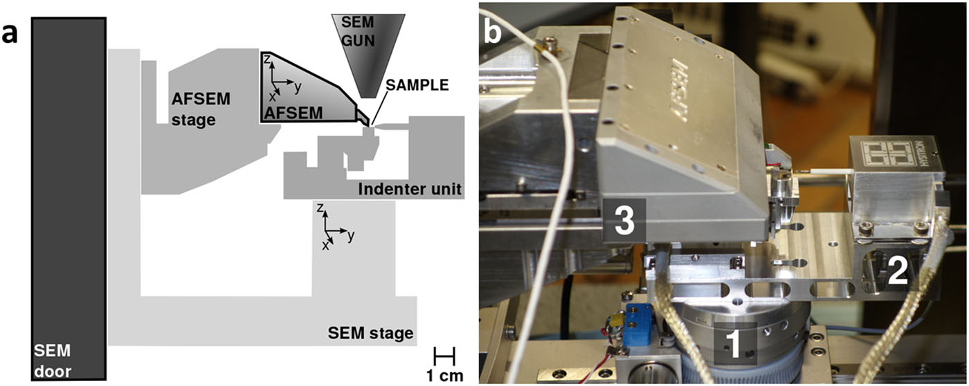 A versatile atomic force microscope integrated with a scanning electron ...