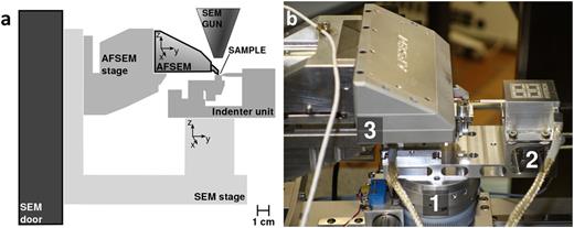 A versatile atomic force microscope integrated with a scanning electron ...