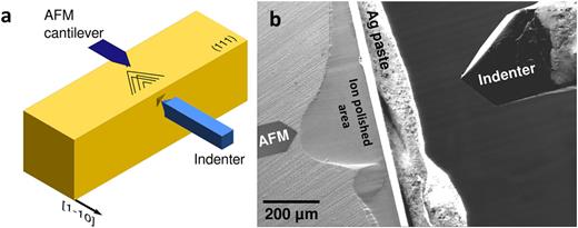 A versatile atomic force microscope integrated with a scanning electron ...
