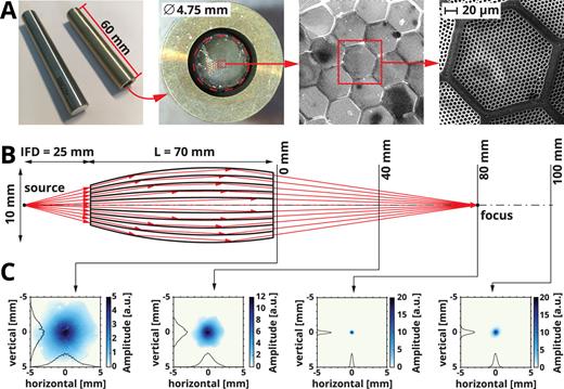 Polycapillary x-ray lenses for single-shot, laser-driven powder ...