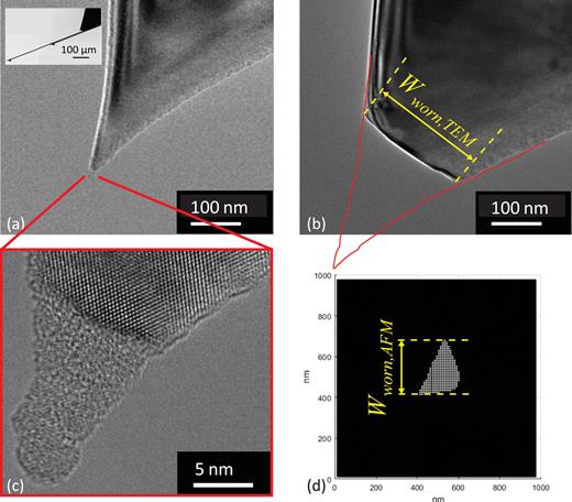 A Simple Atomic Force Microscope Based Method For Quantifying Wear Of Sliding Probes Review Of