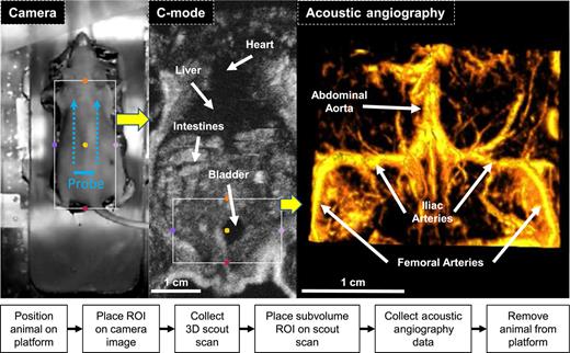 A new preclinical ultrasound platform for widefield 3D imaging of ...