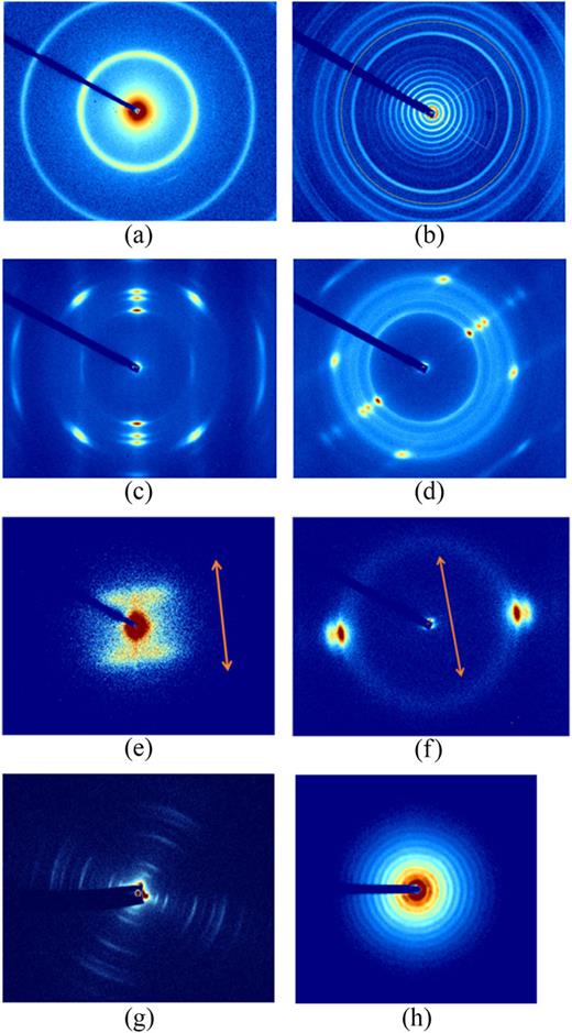 High-performance small- and wide-angle X-ray scattering (SAXS/WAXS) experiments on a multi ...