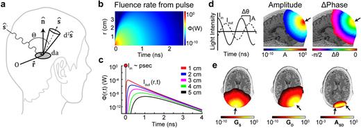 High-density diffuse optical tomography for imaging human brain ...