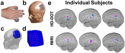High-density diffuse optical tomography for imaging human brain ...