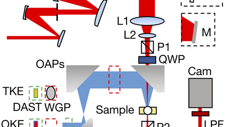 An echelon-based single shot optical and terahertz Kerr effect ...