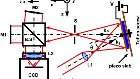 Digital speckle shearography setup to measure the field-induced strain ...