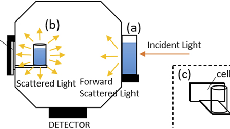 Absorbance spectroscopy of light scattering samples placed inside an ...