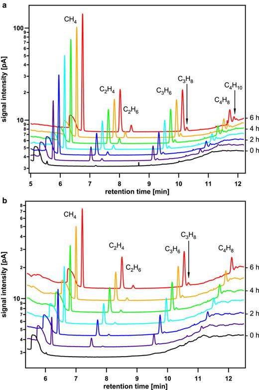 A highly sensitive gas chromatograph for in situ and operando ...
