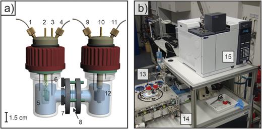 Development of a single crystal sample holder for interfacing ultrahigh ...