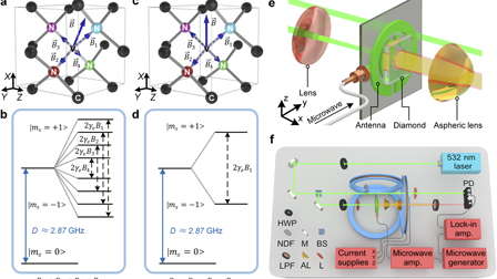 Sensitivity-enhanced magnetometry using nitrogen-vacancy ensembles via ...