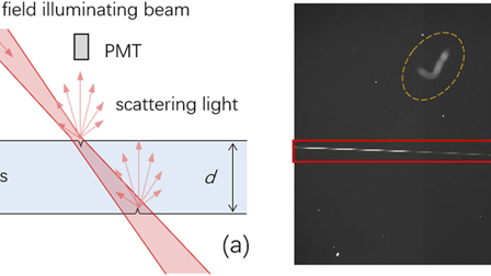 Development of a confocal line-scan laser scattering probe for dark ...