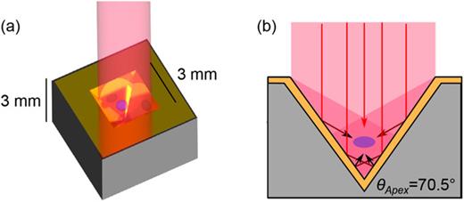 Micro-fabricated components for cold atom sensors | Review of ...