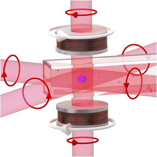 Micro-fabricated components for cold atom sensors | Review of ...