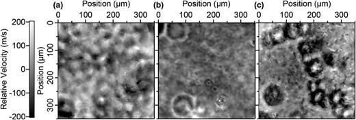 Imaging velocity interferometer system for any reflector (VISAR ...
