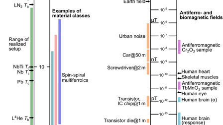 An ultra-low field SQUID magnetometer for measuring antiferromagnetic ...
