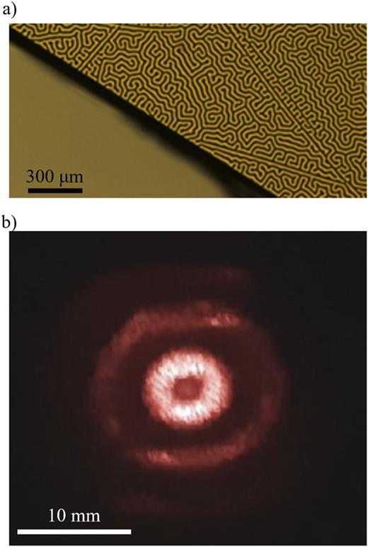 Magneto-optical diffraction of visible light as a probe of nanoscale ...