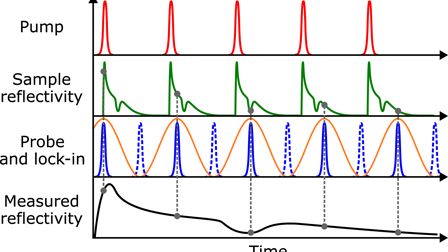 Optimizing pump–probe reflectivity measurements of ultrafast photoacoustics with modulated ...