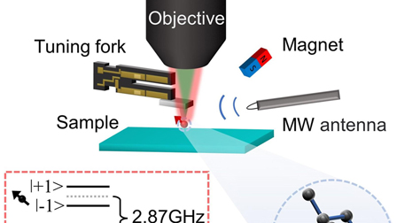 A convenient and robust design for diamond-based scanning probe ...