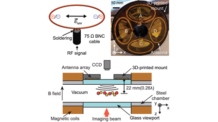 A planar cloverleaf antenna for circularly polarized microwave fields ...