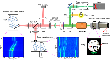 Time-resolved Raman spectroscopy for monitoring the structural ...